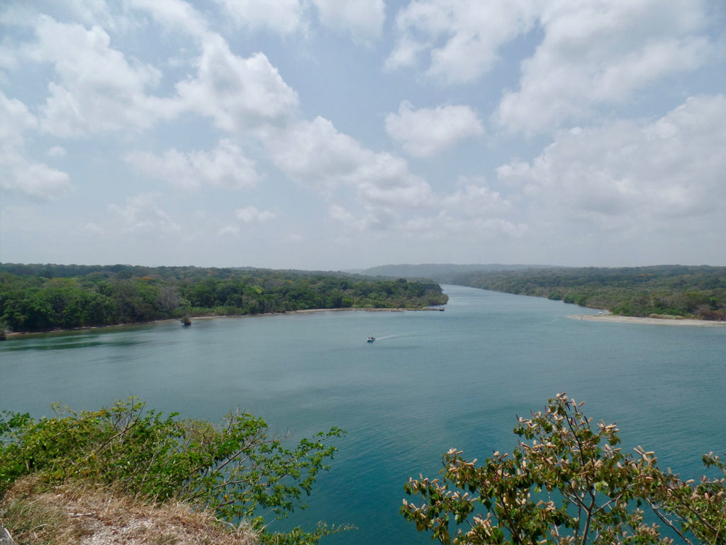 Panama – Bridging the Communication Gap – Prepare to Roar